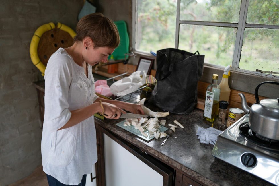 Namibian Omajowa Mushrooms: Where to Find Them, How to Cook Them (And ...